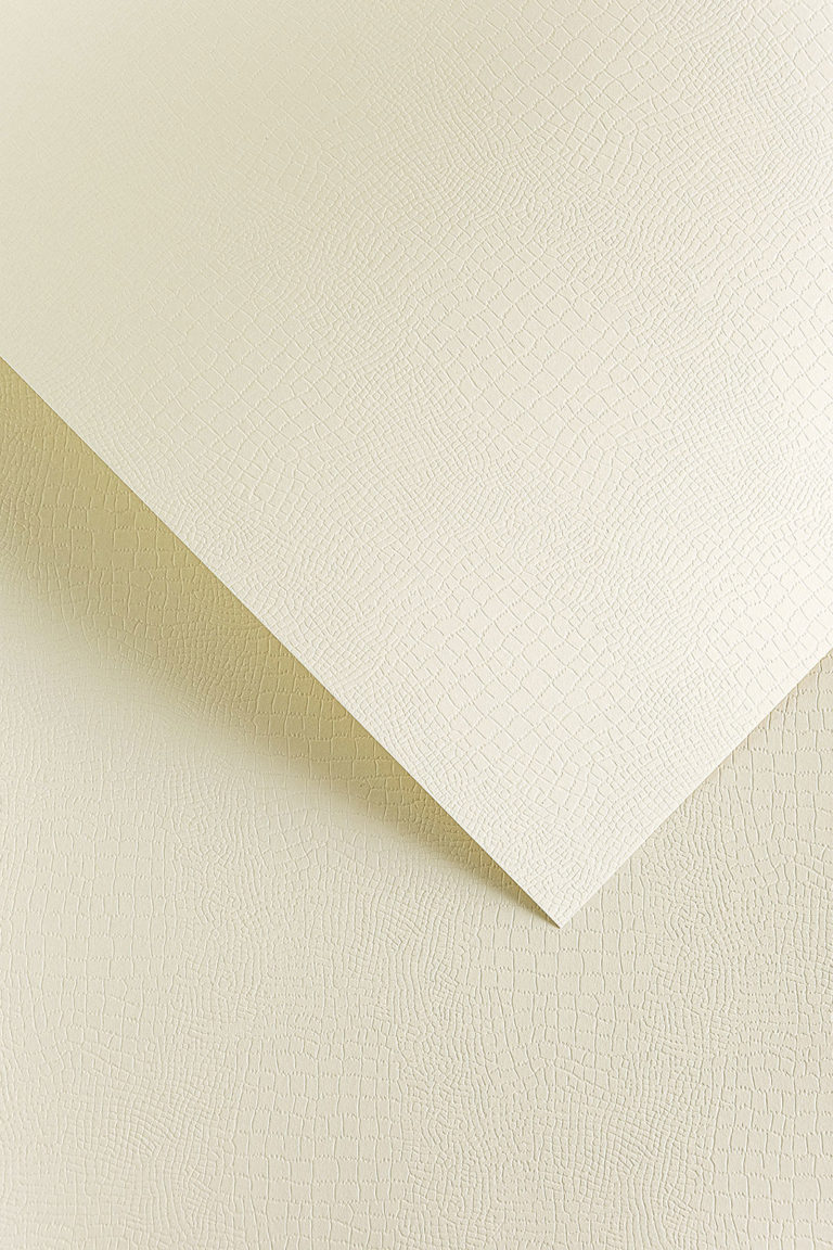 Decorative Card Paper Borneo cream – Galeria Papieru
